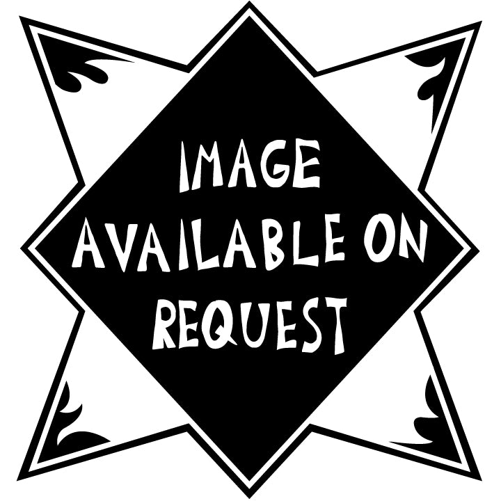 Used Rockman Model II and Rockmount